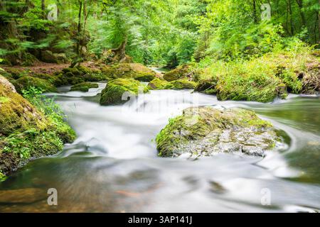 Fluss Trieb im Triebtal zwischen Talsperre Pöhl und Mündung in die ...