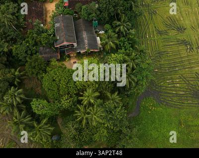 Aerial view of fields close to Mathugama in Sri, Lanka Stock Photo - Alamy
