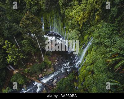 Aerial view of waterfalls surrounded by trees in Alamada, Cotabato ...