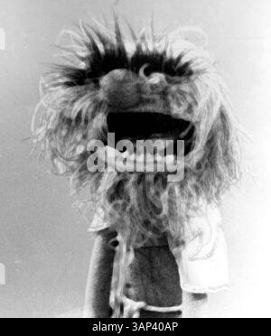 THE MUPPET SHOW, Animal (of the Dr. Teeth & The Electric Mayhem Band ...