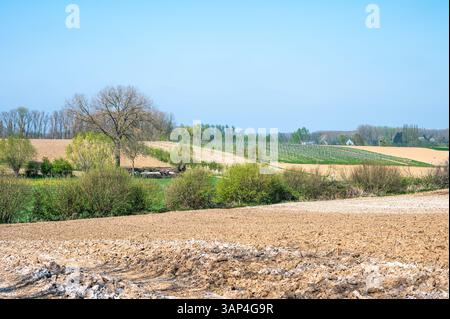 Ploughed and fertilized agriculture field at the Flemish countryside in ...