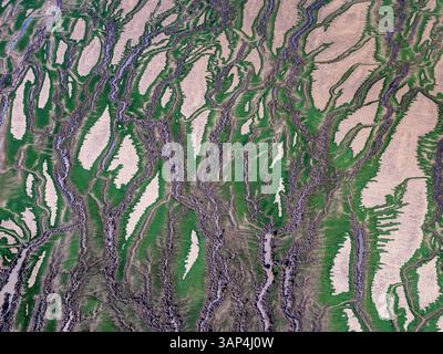 Aerial view of meandering Cooper Creek in flood plain, Channel Country ...