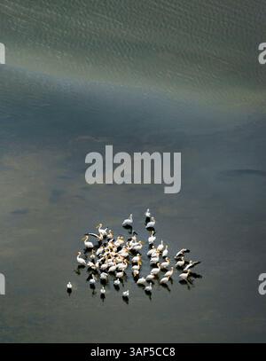 Aerial view of serene Lake Manych Gudilo with tranquil shoreline and ...