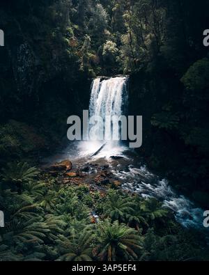 Aerial drone view of the victorian forest and waterfall in the Great ...