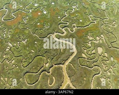 Aerial view of serpentine Piedras river winding through beautiful ...