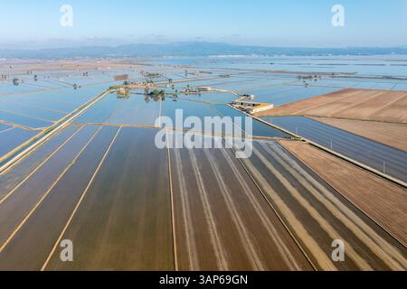 Flooded rice fields in May at daybreak, aerial view, drone shot, Ebro ...
