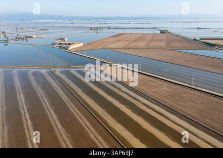 Flooded rice fields in May at daybreak, aerial view, drone shot, Ebro ...
