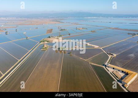 Flooded rice fields in May at daybreak, aerial view, drone shot, Ebro ...
