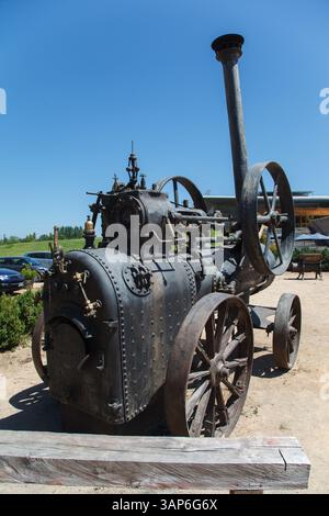 The Vintage steam locomotive in Vina Montes typical vineyard in ...