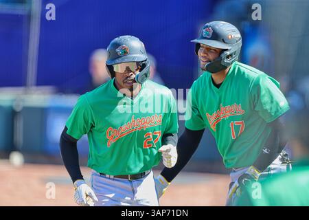 Winston-Salem, NC: Winston-Salem Dash left field Jordan Sprinkle (5 ...