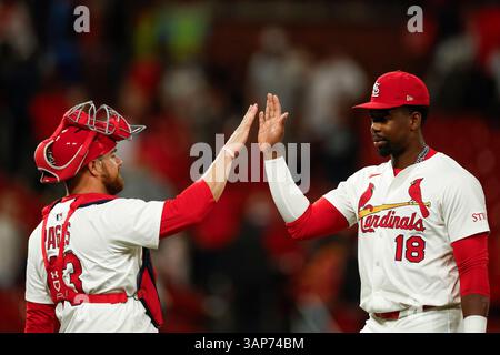 St. Louis Cardinals' Pedro Pages in action during a baseball game ...