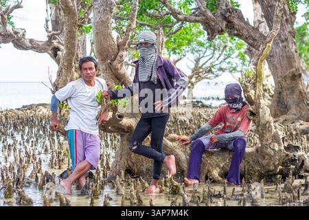 Filipino fishermen resting beside an old growth mangrove tree in Isla ...