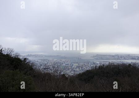 View of Kobe from a surrounding mountain with trees, houses and ...