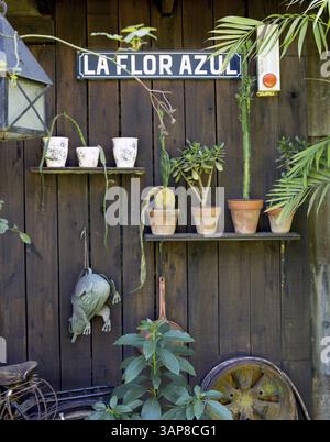 Small ornamental garden with flower pots near the house Stock Photo - Alamy