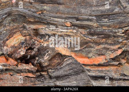 Stratified sedimentary rock with large interne formation resembling a ...