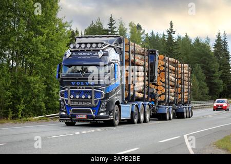 Beautifully customized Volvo FH logging truck transports birch log load ...