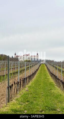 Wachau vineyards and Abbey Goettweig in Austria - Wachau region ...