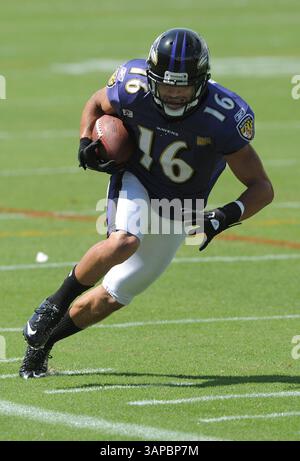 David Reed runs a drill during the Baltimore Ravens' practice in Owings ...