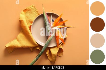 Composition with beautiful strelitzia flowers, plate and palm leaf on ...