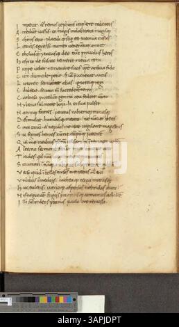 The 'Achilleid' manuscript collection, housed at the University of ...