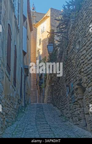 Stone paved path in the picturesque village of Kalarrytes, in Tzoumerka ...