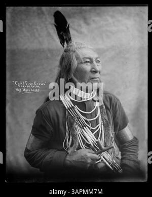 This photograph shows Chief Five Crows, a Cayuse Indian, in regalia ...
