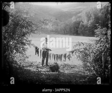 A photograph by Lee Moorhouse showing strings of trout, symbolizing the ...