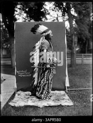 This photograph shows White Bull, a Cayuse man, in various traditional ...