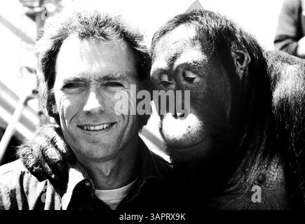 Clint Eastwood, Clyde / Every Which Way But Loose 1978 directed by ...