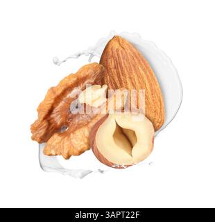 Milk splash with different nuts in air on white background Stock Photo ...