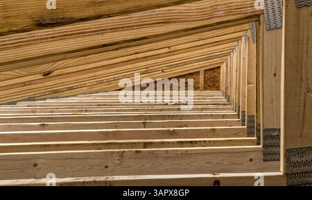Roofing support trusses arranged as a triangulated system of straight ...