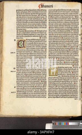 A Latin Bible edition featuring both the Old and New Testaments ...