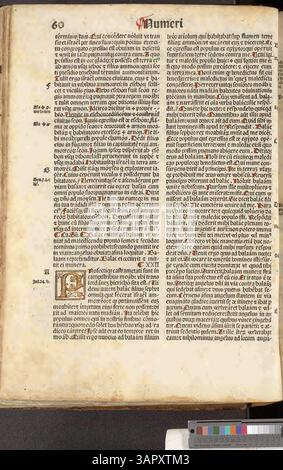 This Latin Bible edition includes concordances for both the Old and New ...