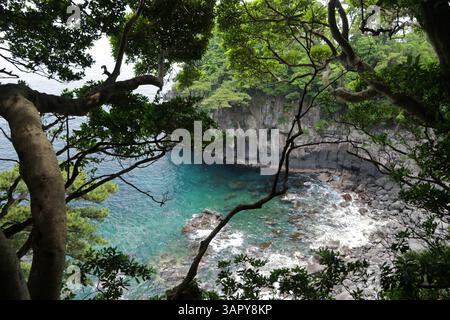Jogasaki Coast, Izu Peninsula, Japan Stock Photo - Alamy