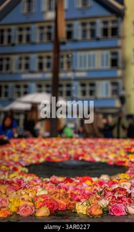 Colorful roses cover the water of a fountain in the city Old Town for ...