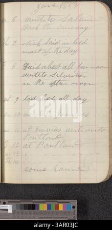 This collection of diary entries from January 8, 1866, to November 19 ...