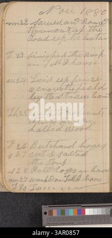 Covering the period from August 1, 1880, to January 4, 1884, this diary ...