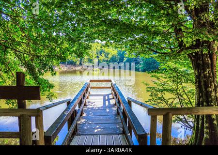 View of lake in Umbra Forest inside Gargano National Park, Apulia ...