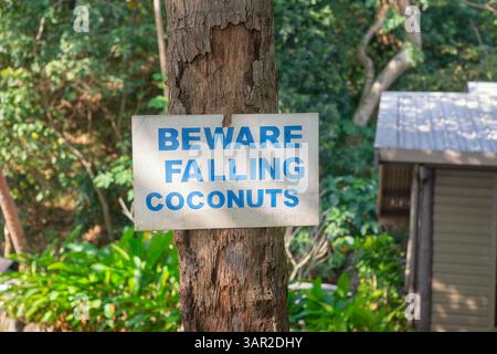 Beware of falling coconuts sign, Yasawa islands, Fiji Stock Photo - Alamy