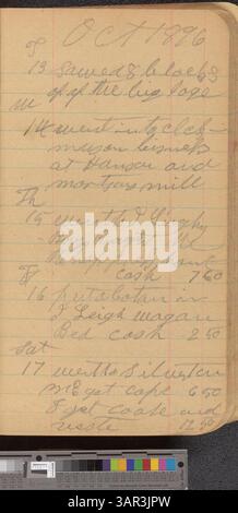 The 1894-1897 diary includes daily logs, financial documentation, and ...