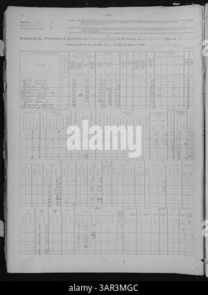 The 1880 agricultural census provides detailed records on farm ...