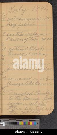 Diary entries from 1894-1897 documenting daily life, financial records ...