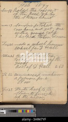 Diary entries from October 1873 to November 13, 1877, documenting daily ...
