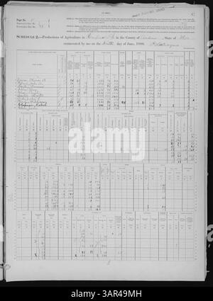 The 1880 agricultural census includes detailed farm production data ...