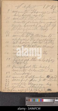 This 1868-1869 diary contains records of daily life, financial ...