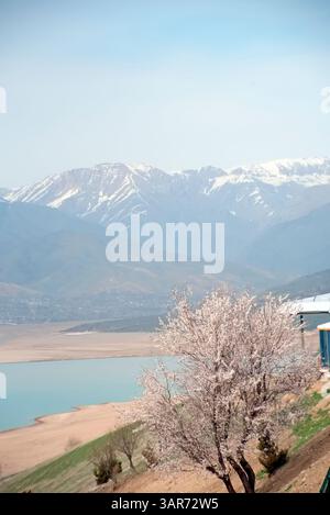 Charvak (chorvoq) Reservoir, Uzbekistan – March 22, 2025, Around the ...