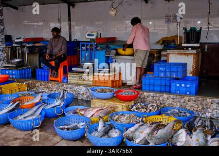 India, Goa state, Penha de Franc, fish market Stock Photo - Alamy