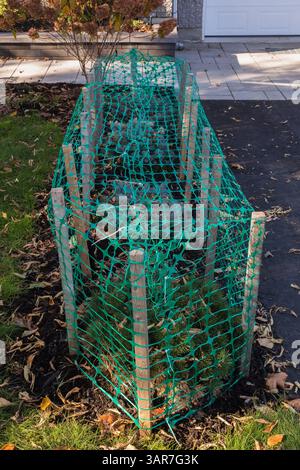 Young trees protected by wooden stakes and wire mesh in a green public ...