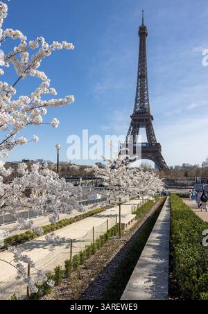 Red plum blossoms bloom along Jiangdong Road in Shangyu District ...