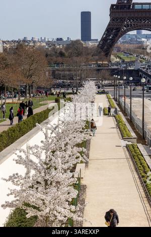 Red plum blossoms bloom along Jiangdong Road in Shangyu District ...